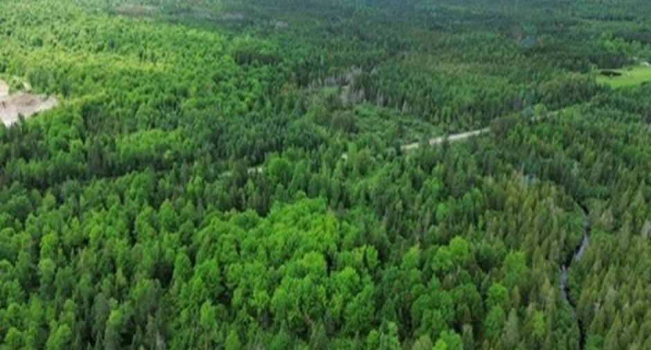 Terrain à vendre: Ch. de la Yard, Estrie, Québec