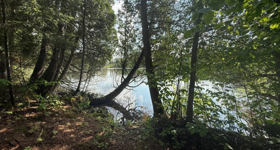 Terrain à vendre: 3322 Sent. Nil-Simard, Saguenay/Lac-Saint-Jean, Québec