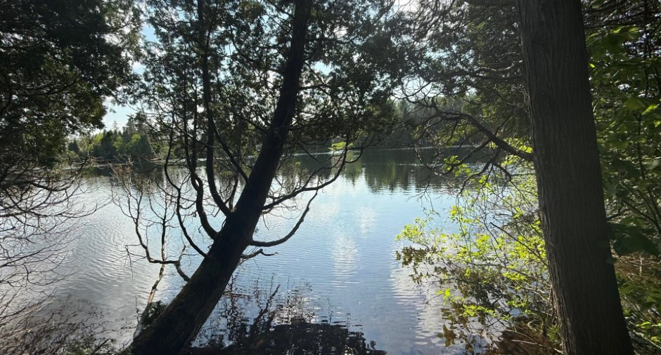 Terrain à vendre: 3322 Sent. Nil-Simard, Saguenay/Lac-Saint-Jean, Québec