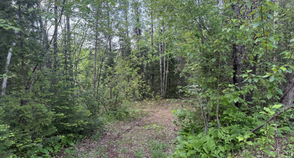 Terrain à vendre: 3322 Sent. Nil-Simard, Saguenay/Lac-Saint-Jean, Québec
